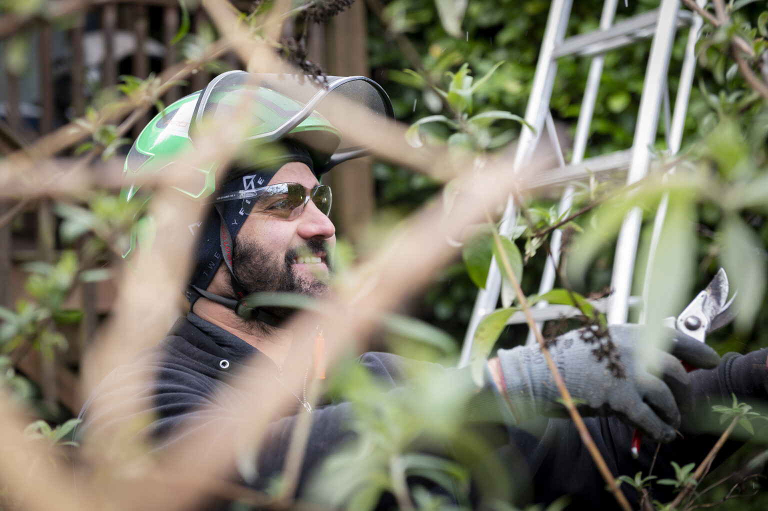 What Is Tree Pruning And Tree Trimming?