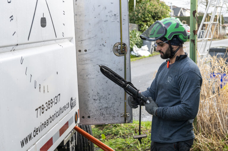 Tree Appraisal Services - Devine Arboricultural Solutions